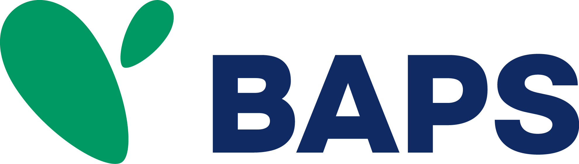 Baps presenta il nuovo logo — Mediatrends